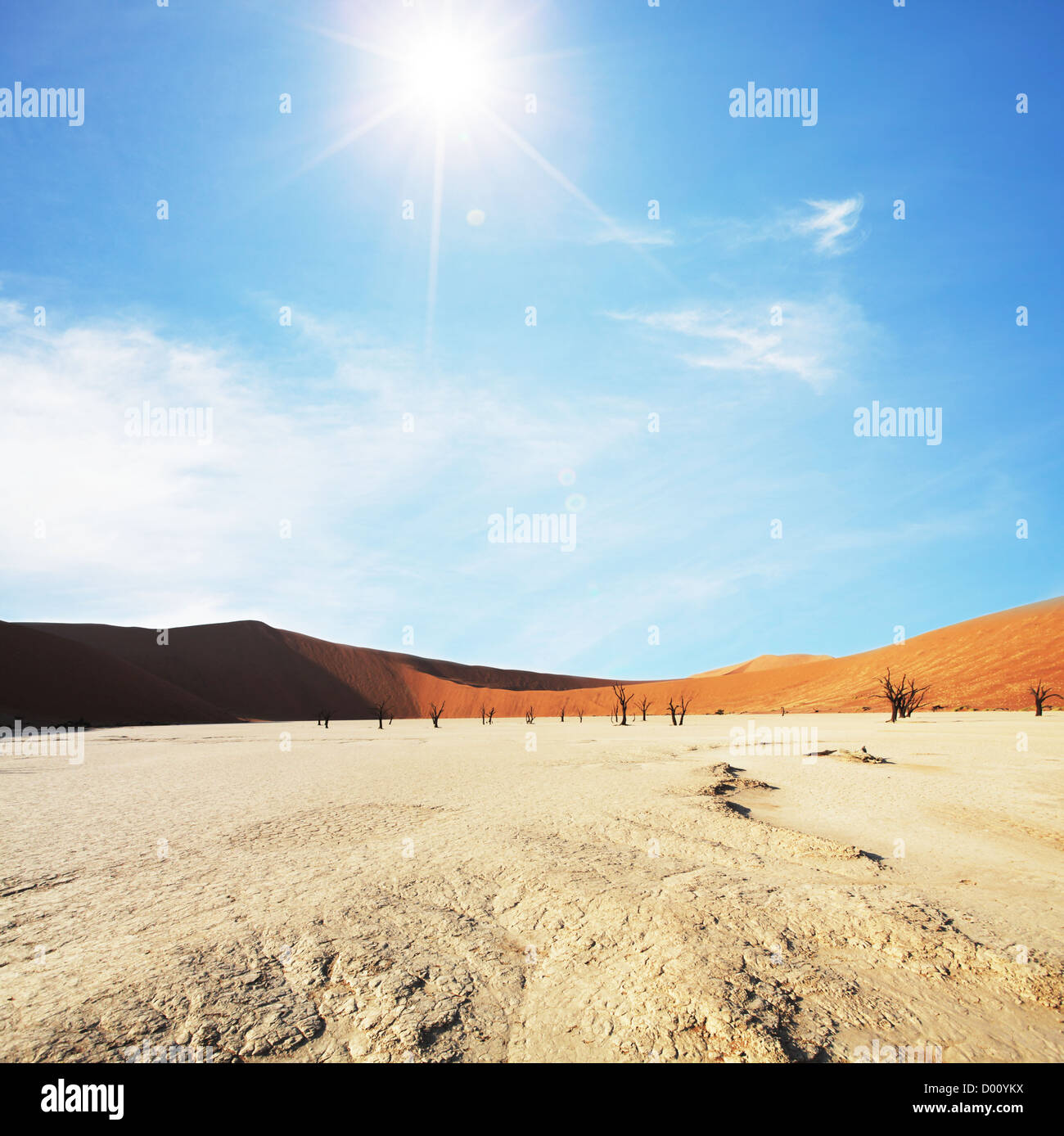 Dead valley in Namibia Stock Photo - Alamy