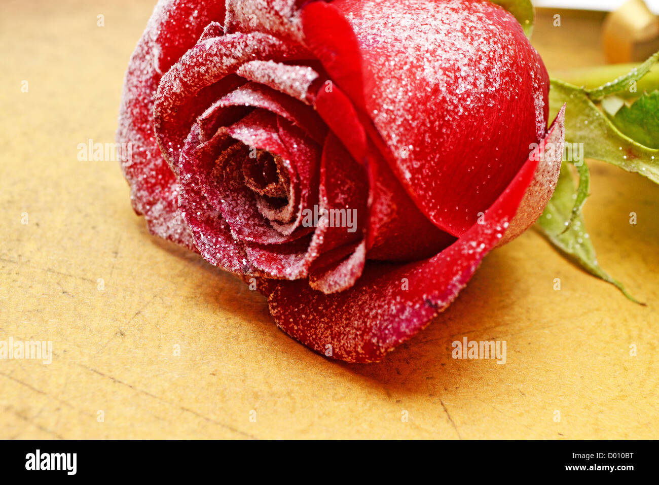 Tattered blossom hi-res stock photography and images - Alamy
