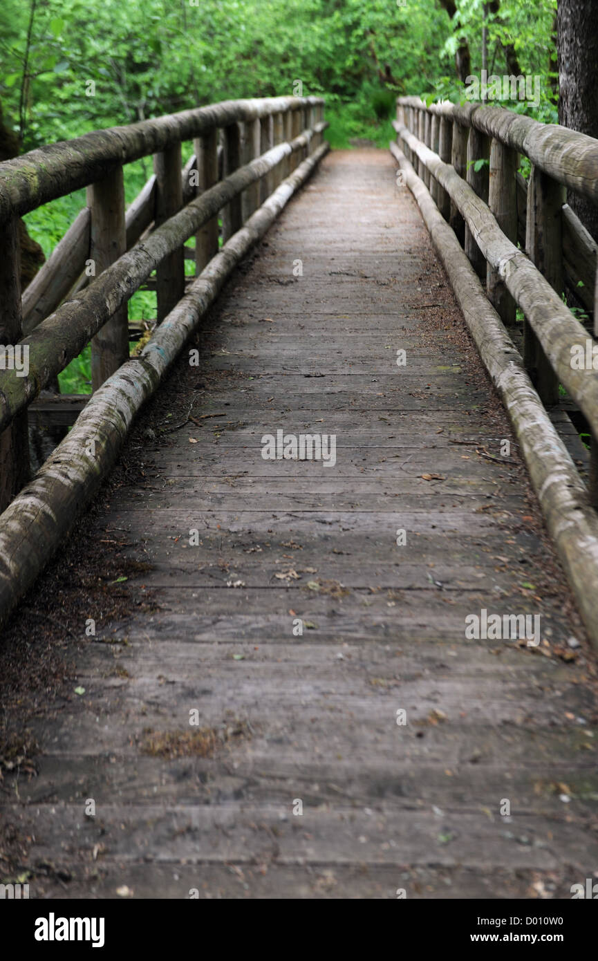 Rain Rainforest Bridge Wood High Resolution Stock Photography and ...