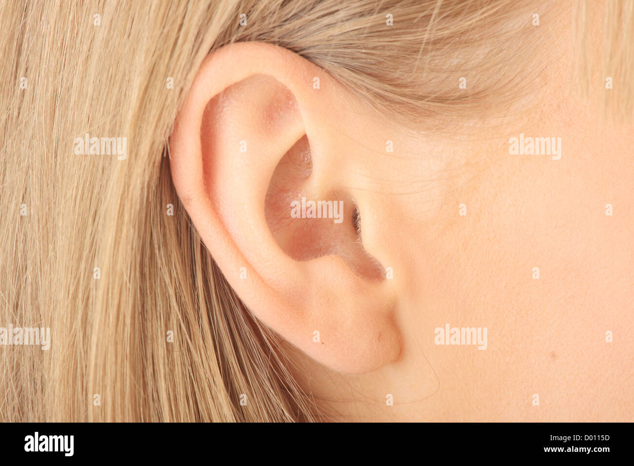 Color closeup picture of blond girl ear Stock Photo - Alamy