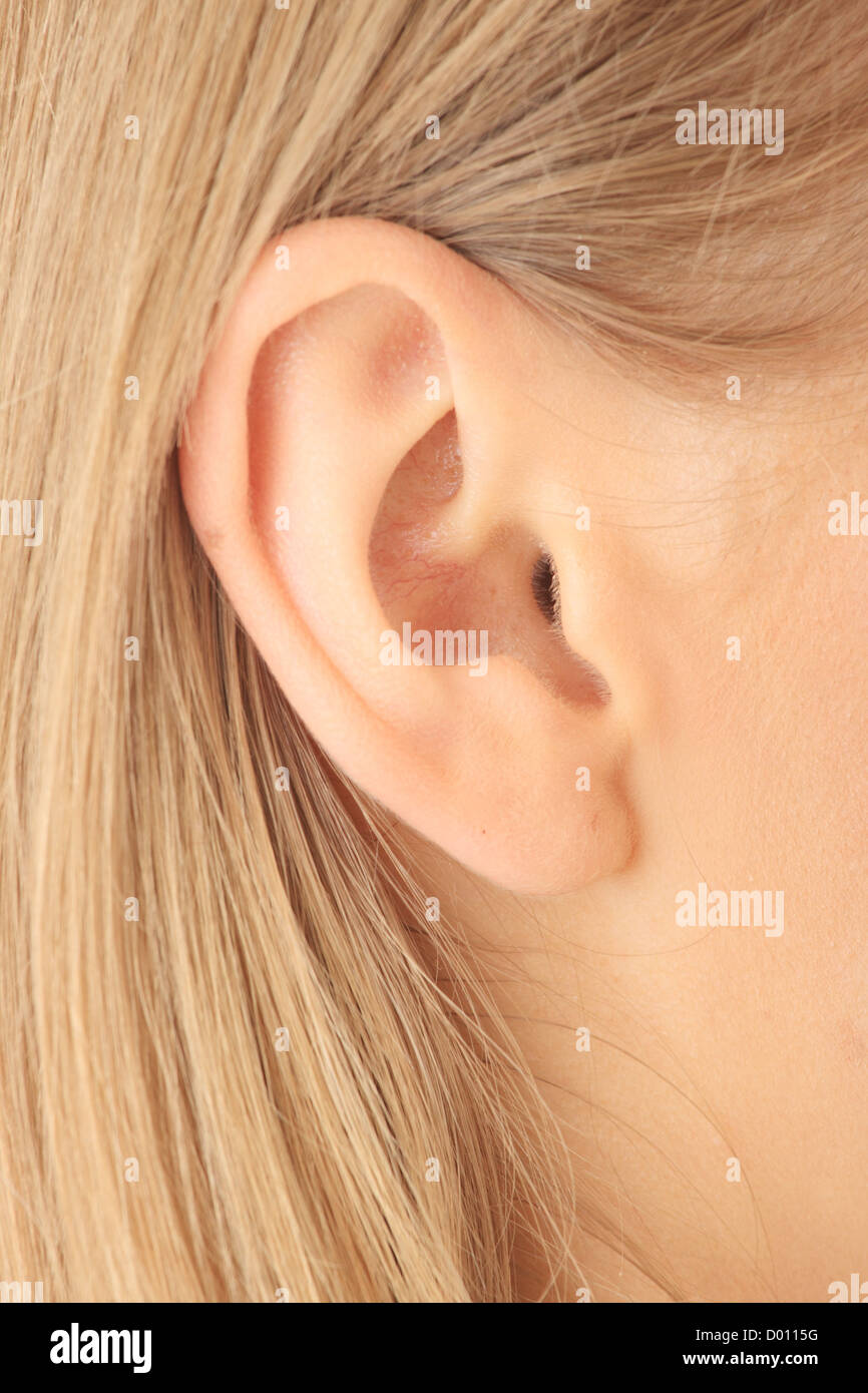 Color closeup picture of blond girl ear Stock Photo - Alamy