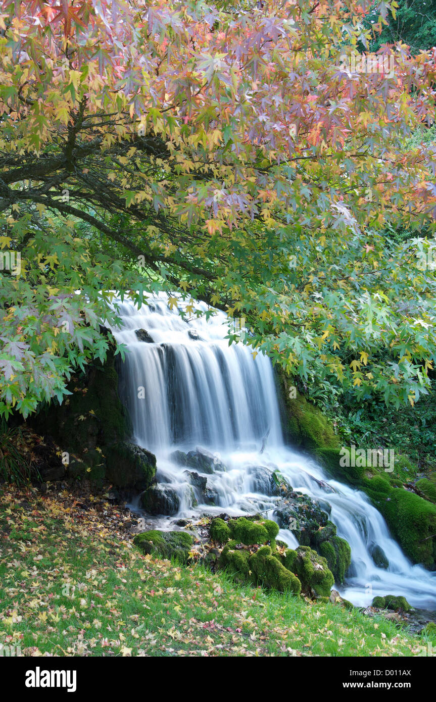 Autumn leaves overhang a picturesque waterfall flowing from Bidehead ...