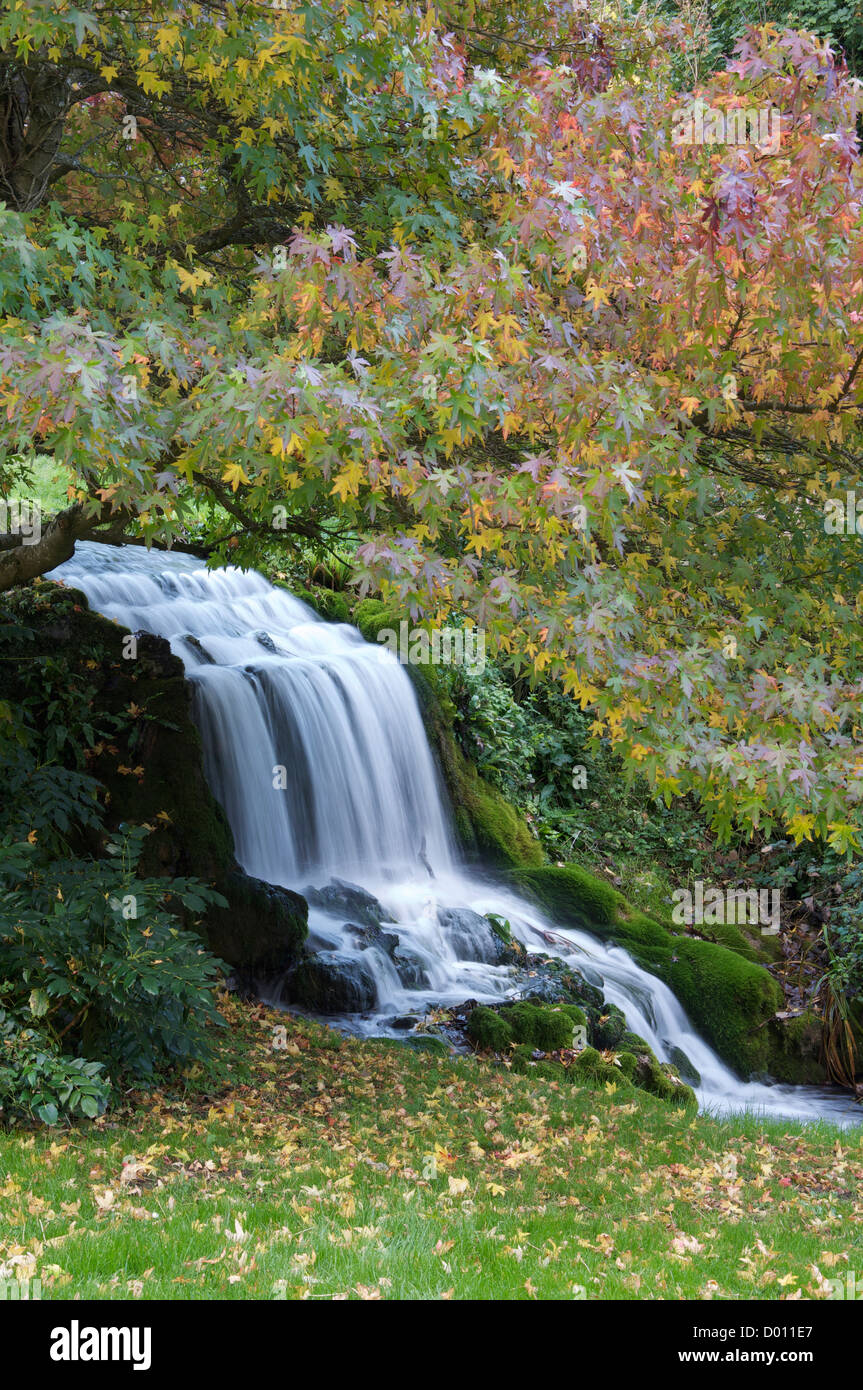 Autumn leaves overhang a picturesque waterfall flowing from Bidehead ...