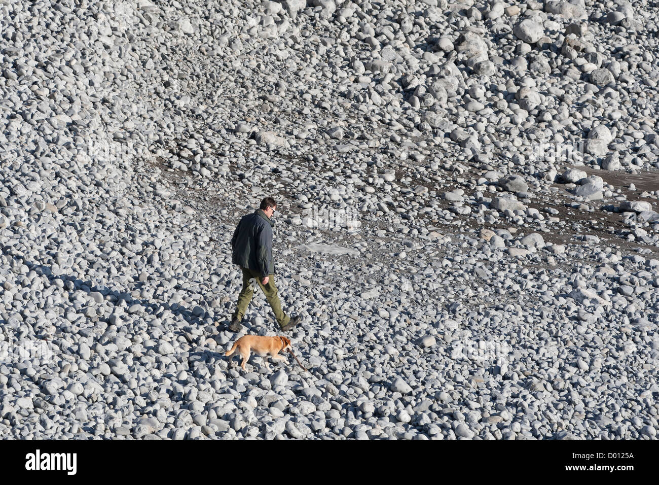 Walking dog on barren pebble beach Stock Photo - Alamy