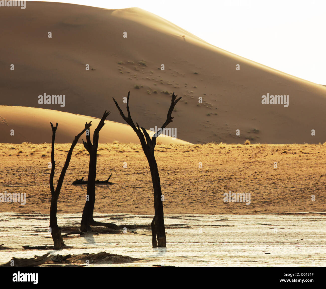 Dead valley in Namibia Stock Photo - Alamy