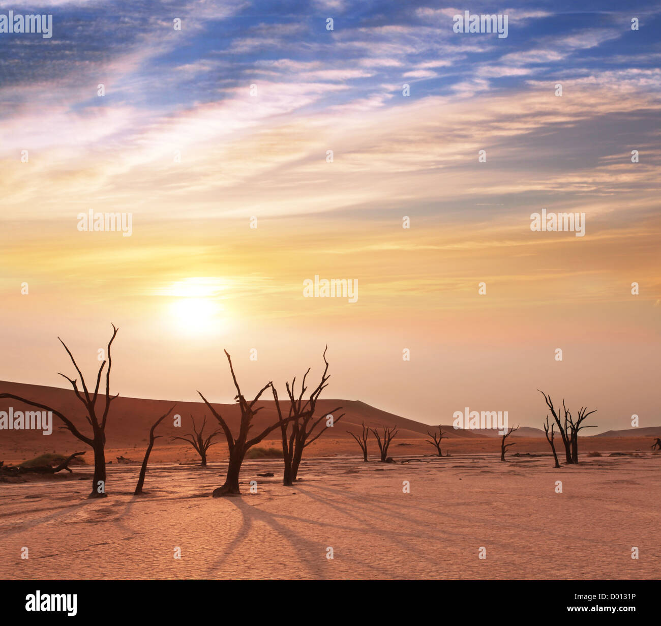 Dead valley in Namibia Stock Photo - Alamy