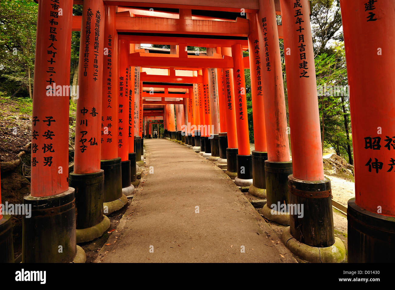 Pathway lined by ceremonial gates or torii at Fushimi Inari Taisha ...
