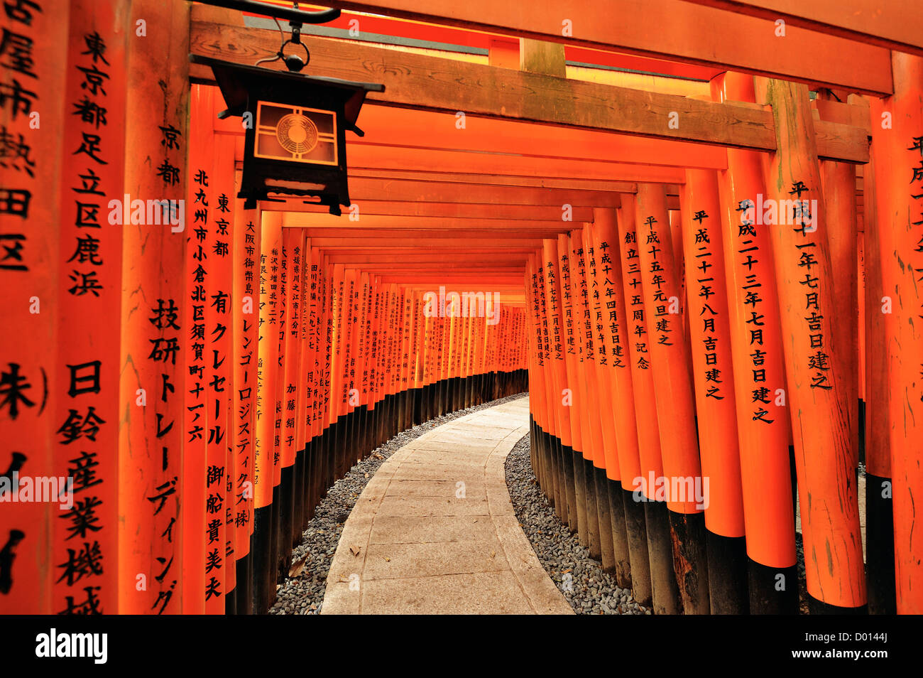 Pathway lined by ceremonial gates or torii at Fushimi Inari Taisha ...