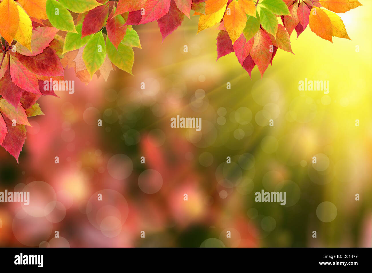 Autumn fa hi-res stock photography and images - Alamy