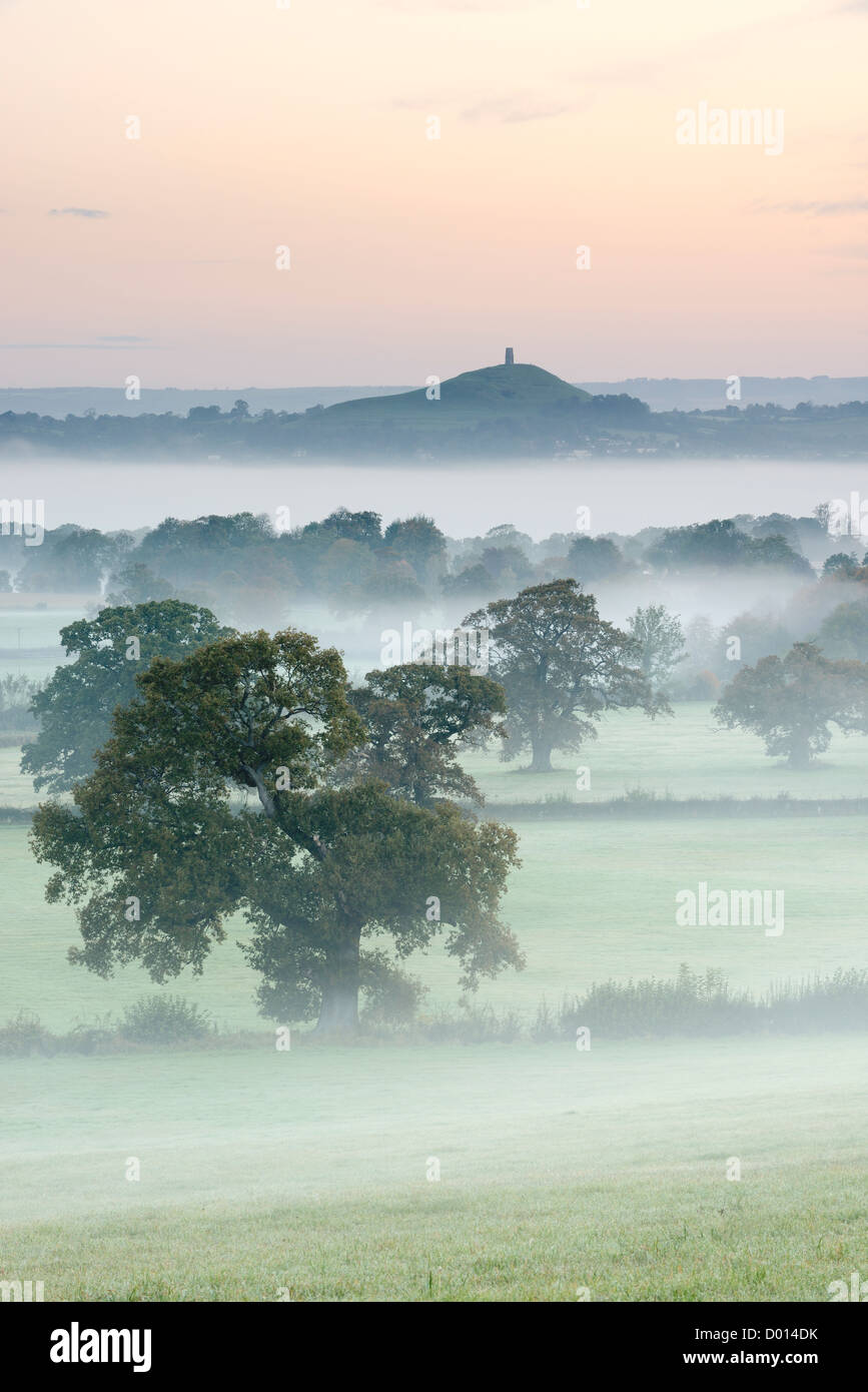 Mist shrouded fields leading towards Glastonbury Tor which dominates ...
