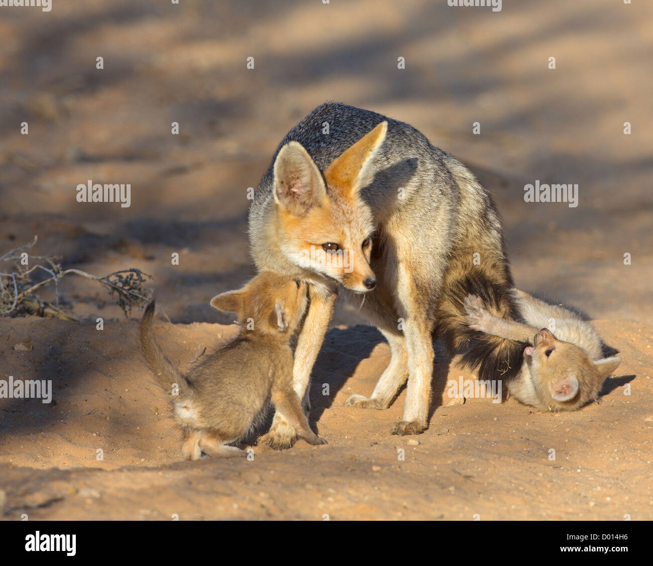 Sand babies hi-res stock photography and images - Alamy