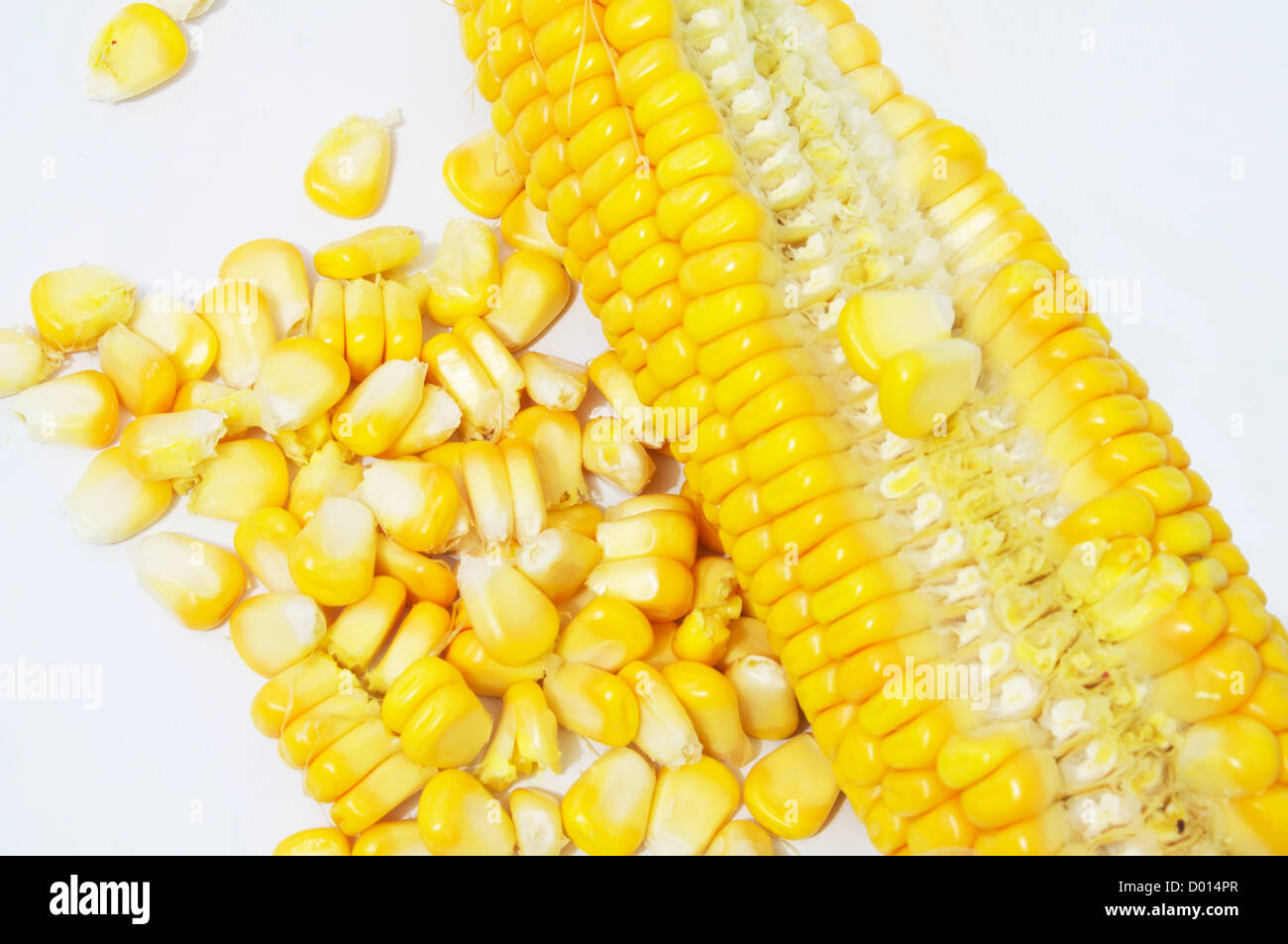 Corn cobs and corn kernels isolated on a white background Stock Photo ...