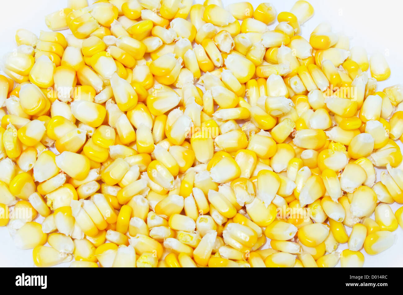 Close-up of fresh corn kernels Stock Photo - Alamy
