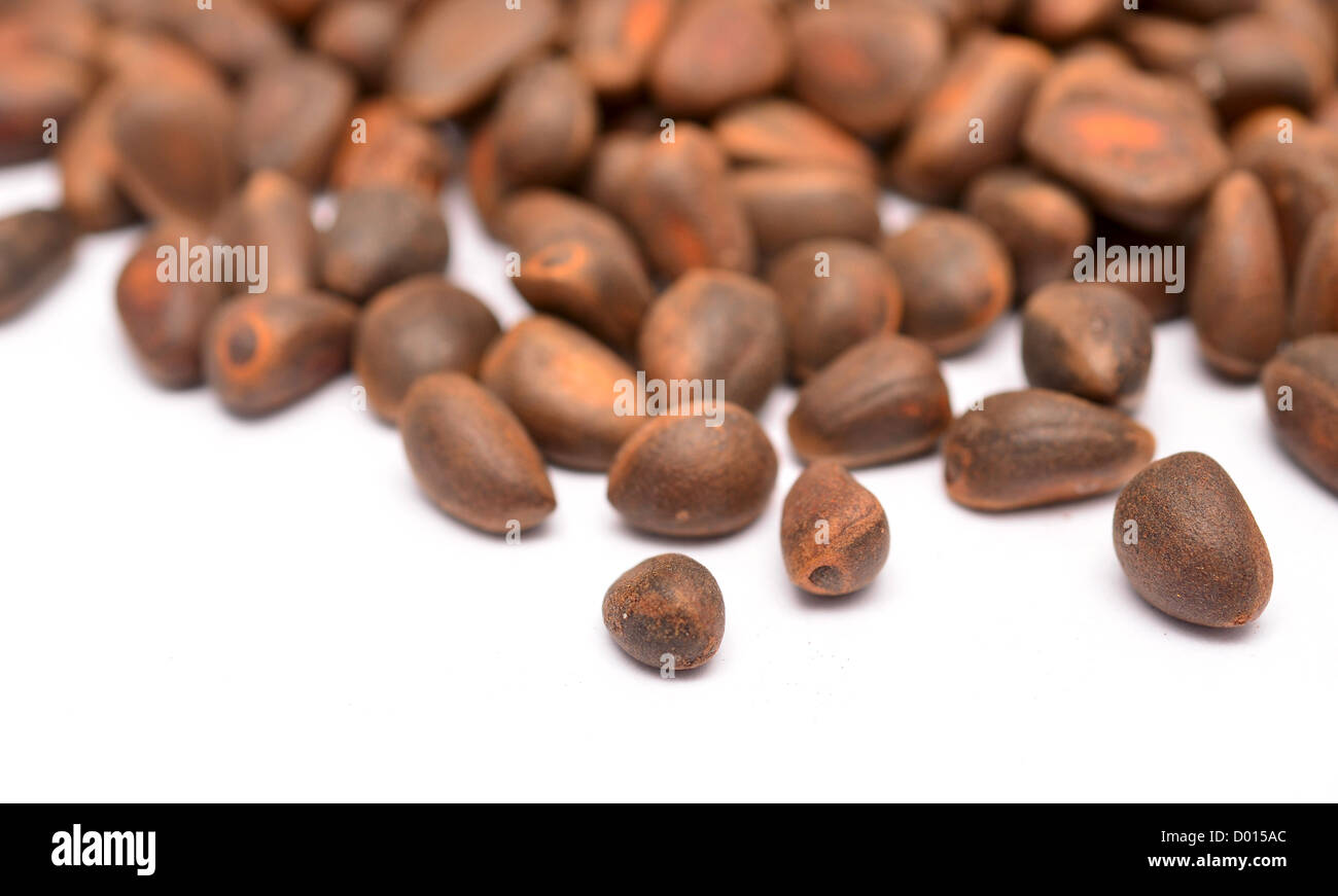 cedar nuts isolated on white Stock Photo - Alamy
