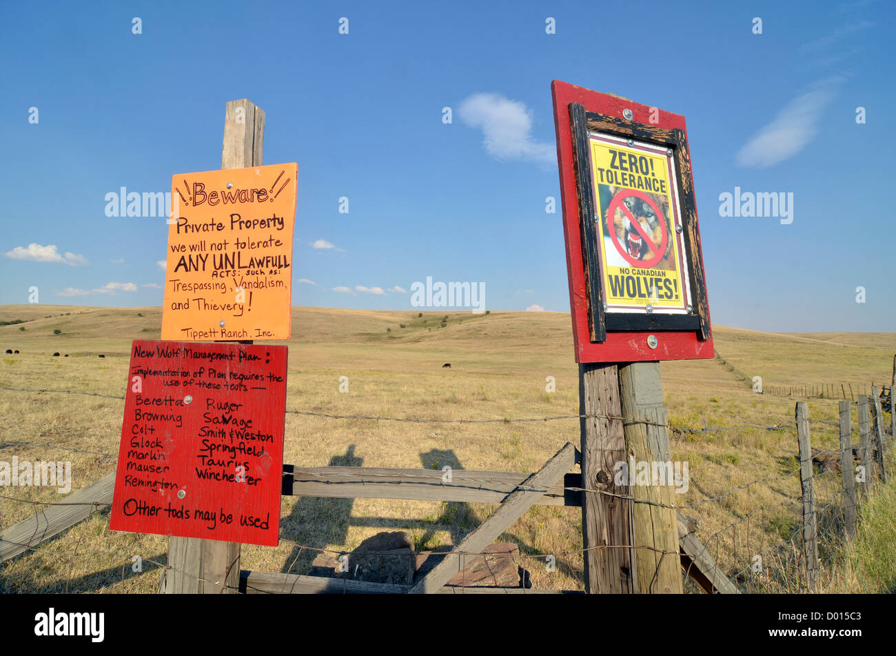 Prairie Wolf High Resolution Stock Photography and Images - Alamy