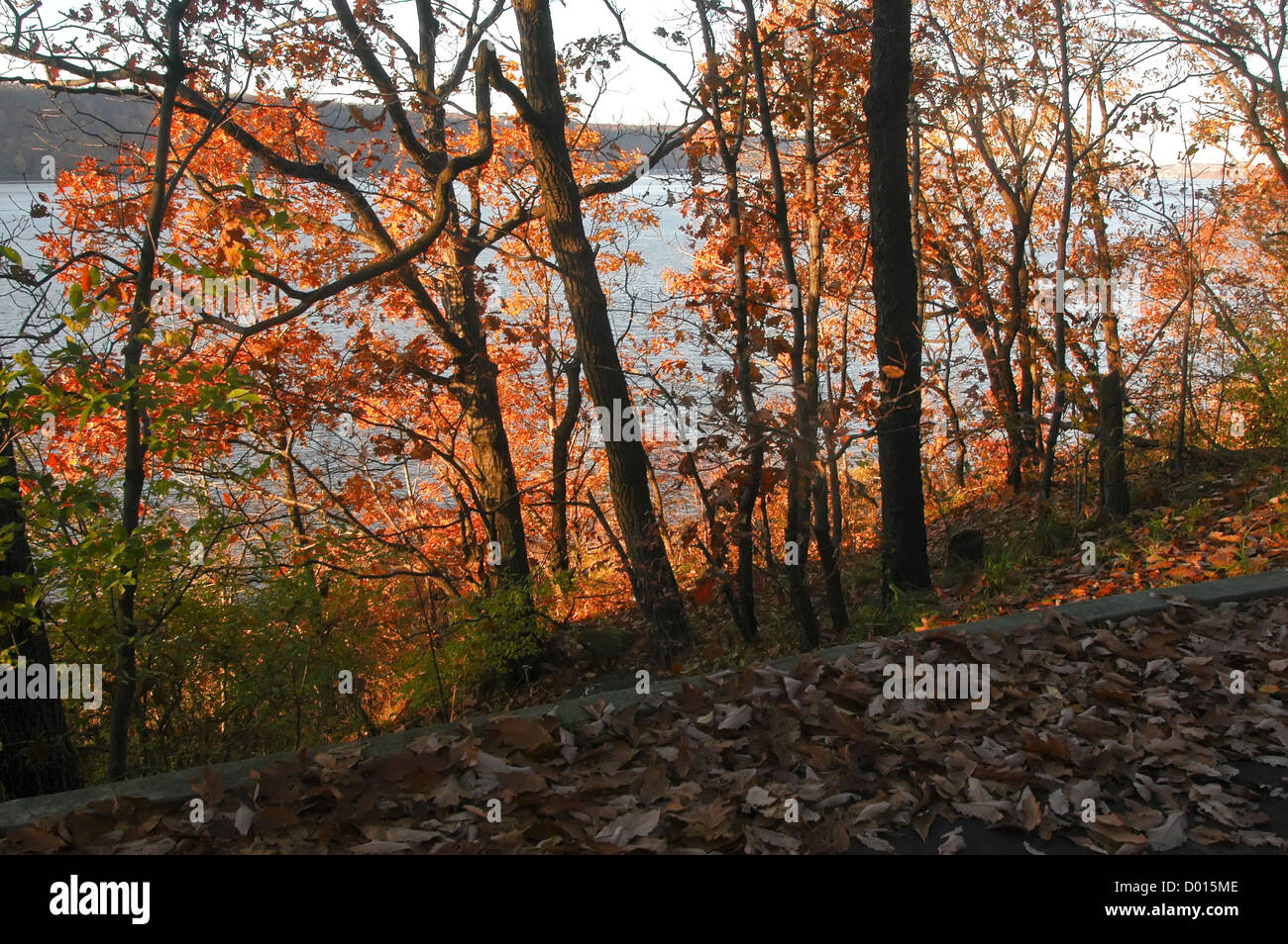 Upper manhattan hudson river greenway hi-res stock photography and ...