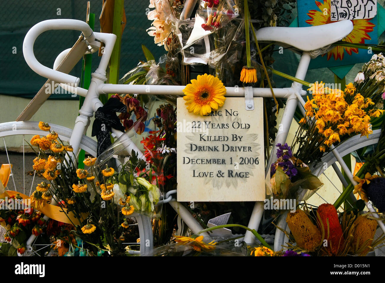 Ghost Bike Memorial for Eric Ng who was killed by a drunk driver on the ...