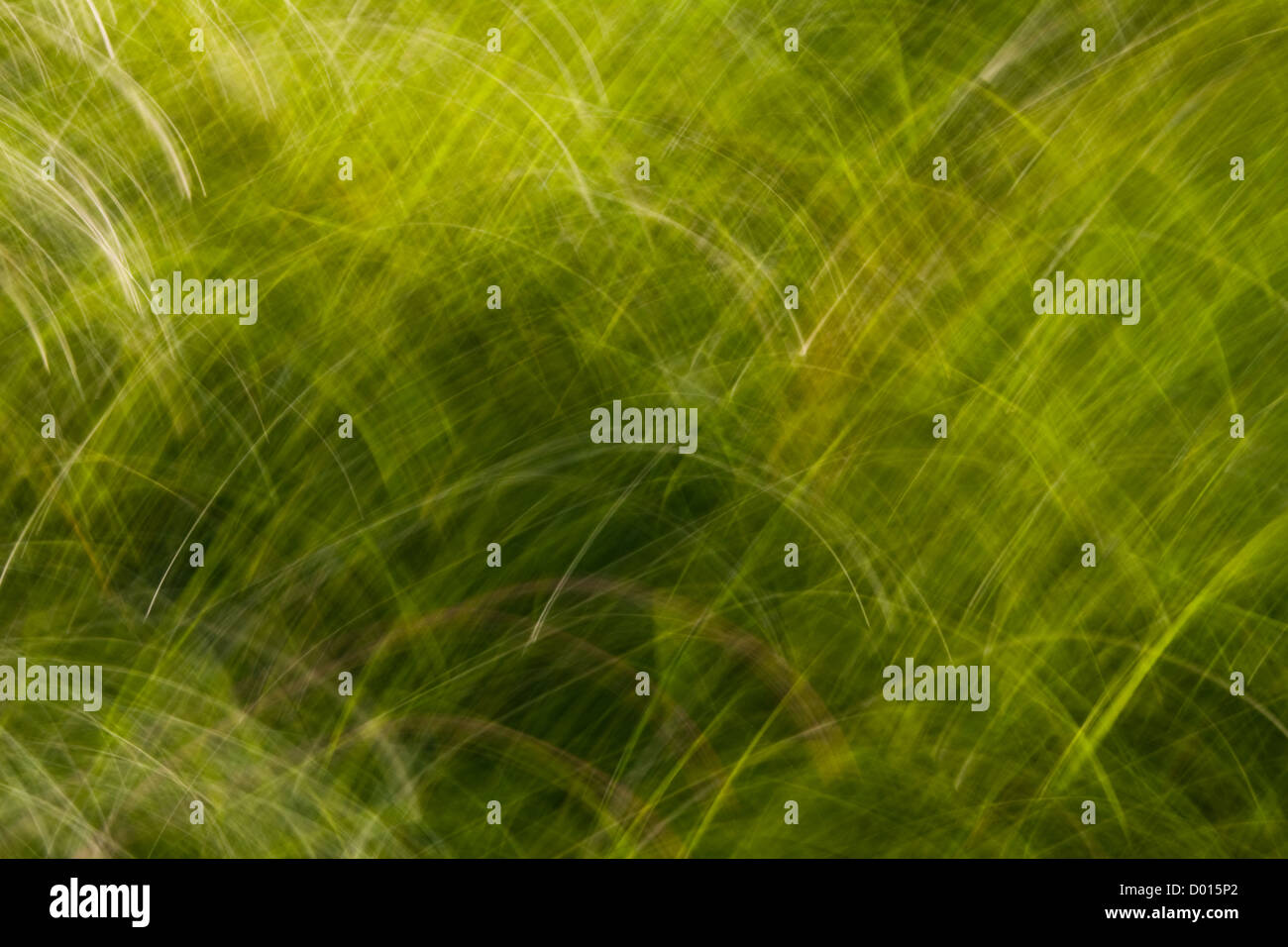 Concept background make by shake camera Stock Photo - Alamy