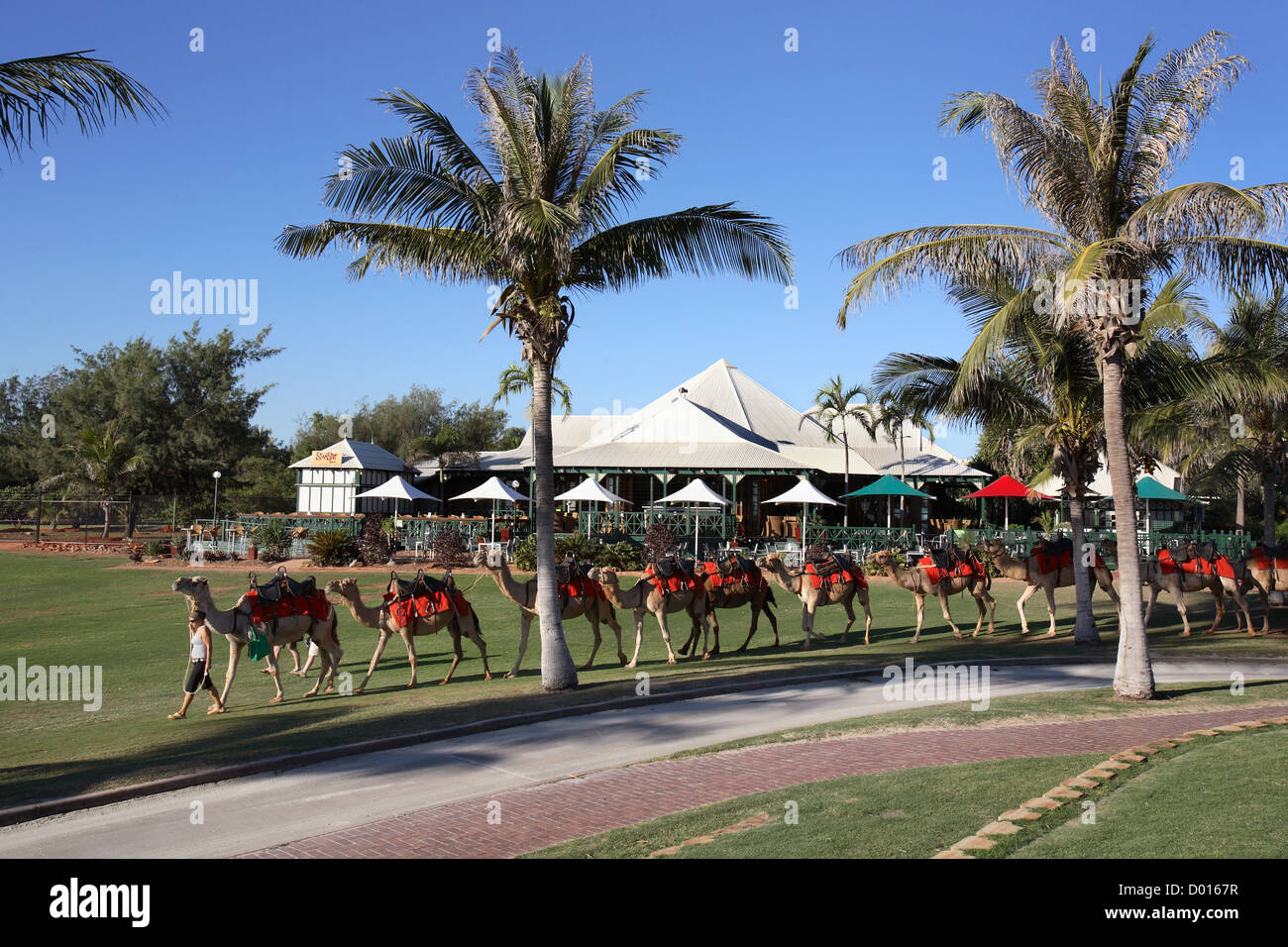 Camel train in front of Cable Beach Resort. Broome, Western Australia ...