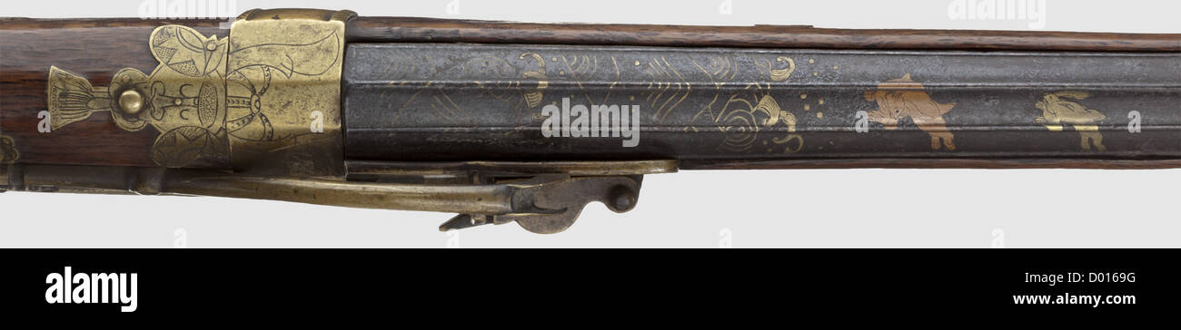 Tapered beak hi-res stock photography and images - Alamy