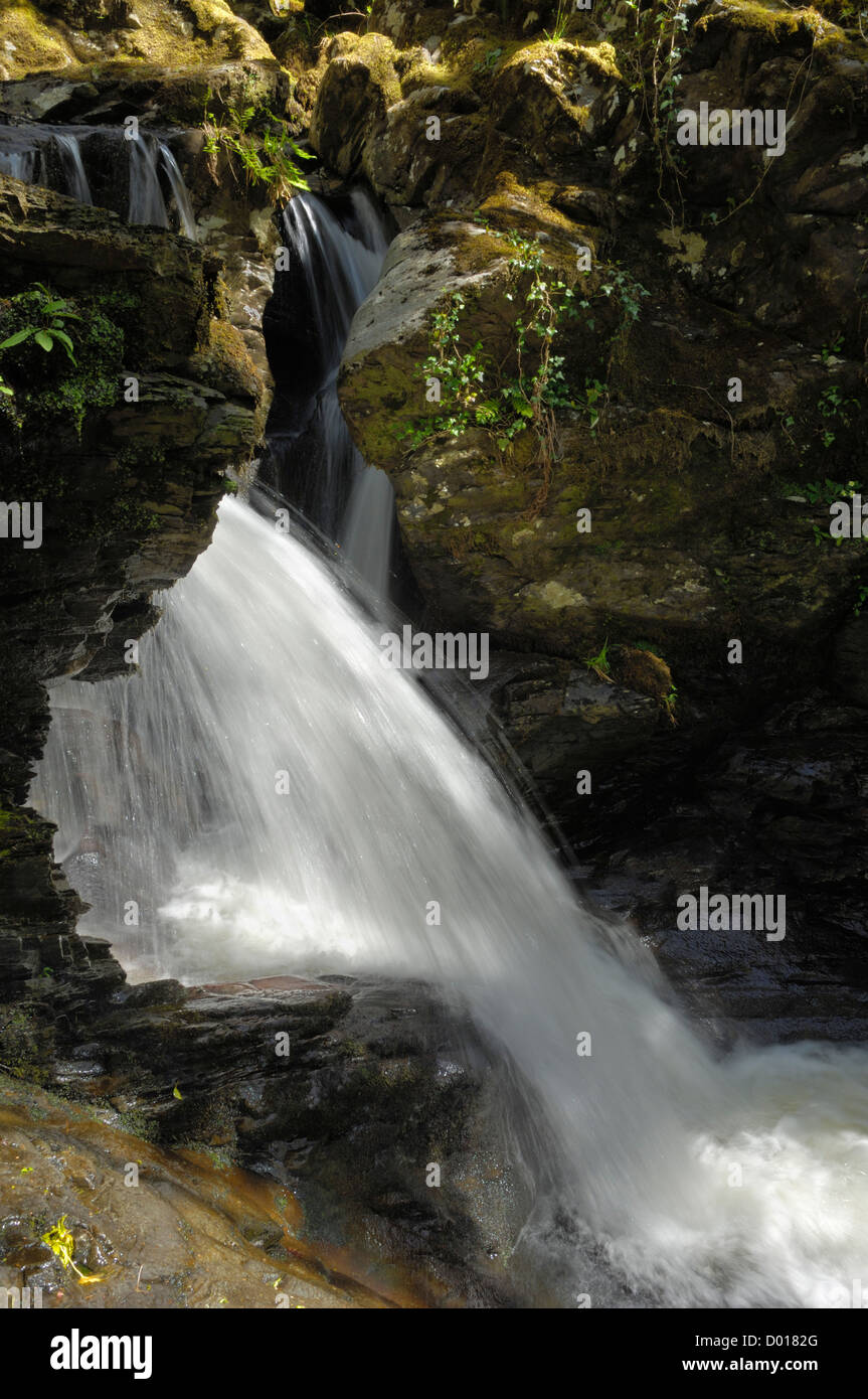 Waterfalls at Wood of Cree, near Newton Stewart, Dumfries & Galloway ...