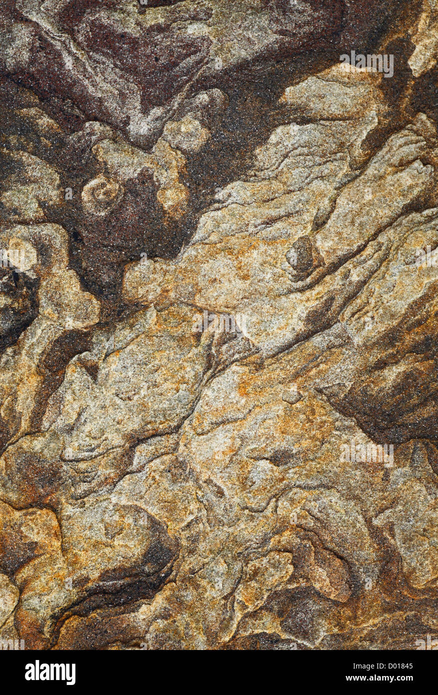 Patterns in rock formations on the Northumberland coast Stock Photo - Alamy