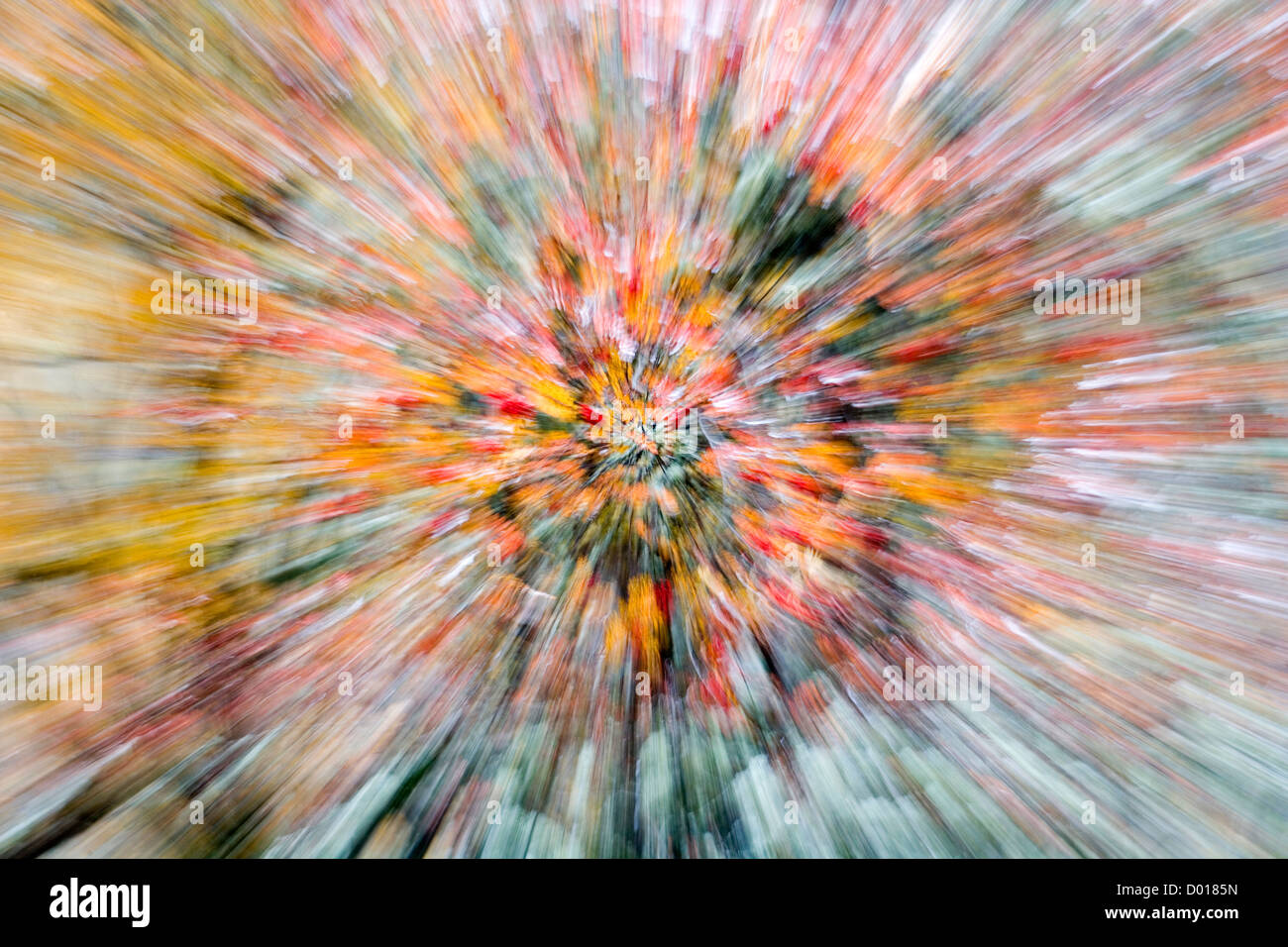Zoomed shot hi-res stock photography and images - Alamy