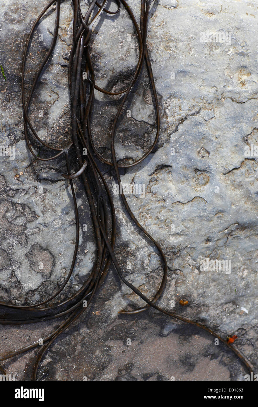 Dead Mans Rope High Resolution Stock Photography and Images - Alamy