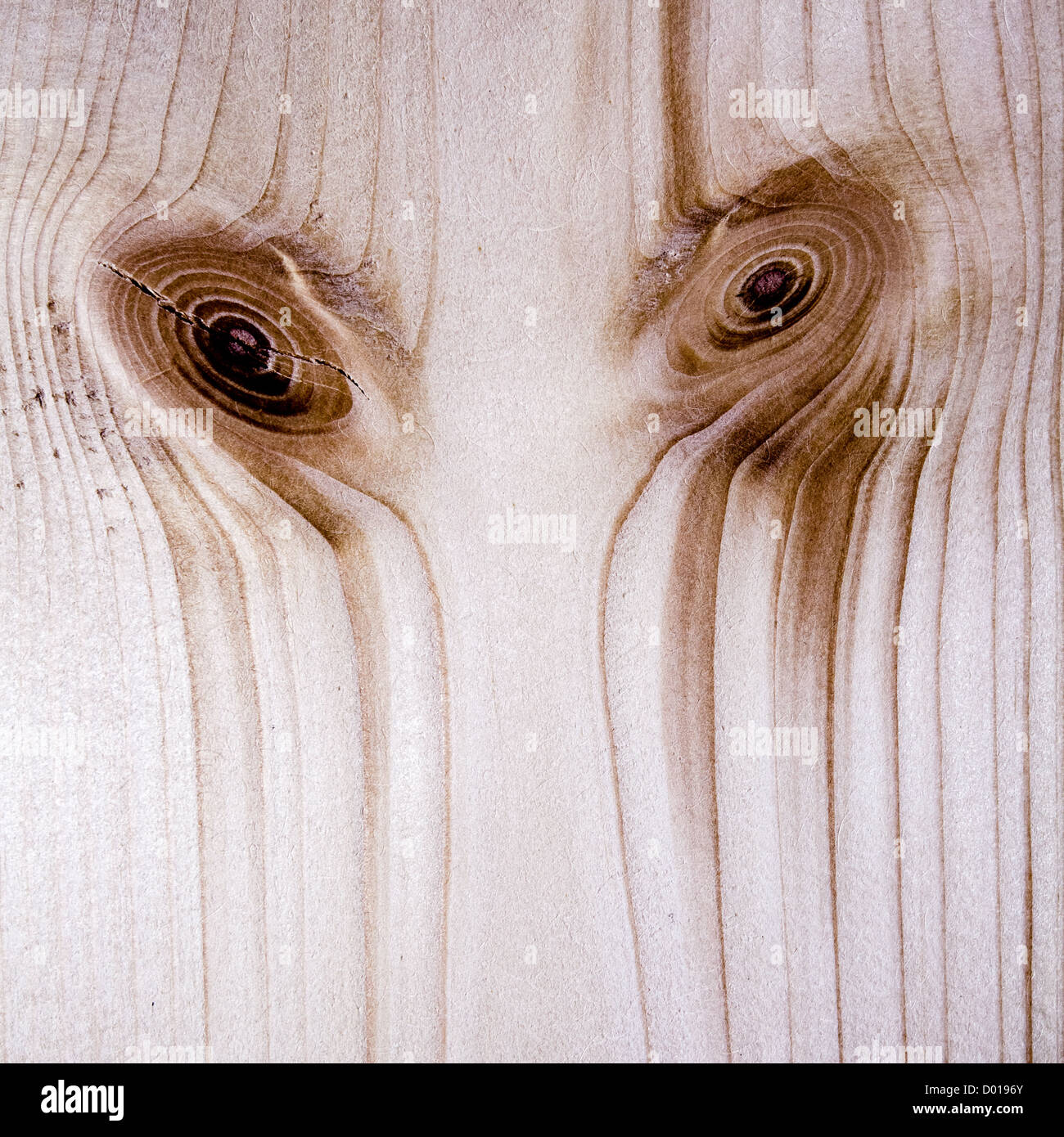 Emoticon with sad expression naturally growing from cut of wooden plank ...