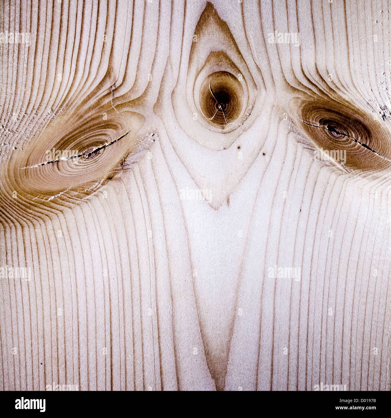 Emoticon with sad expression naturally growing from cut of wooden plank ...