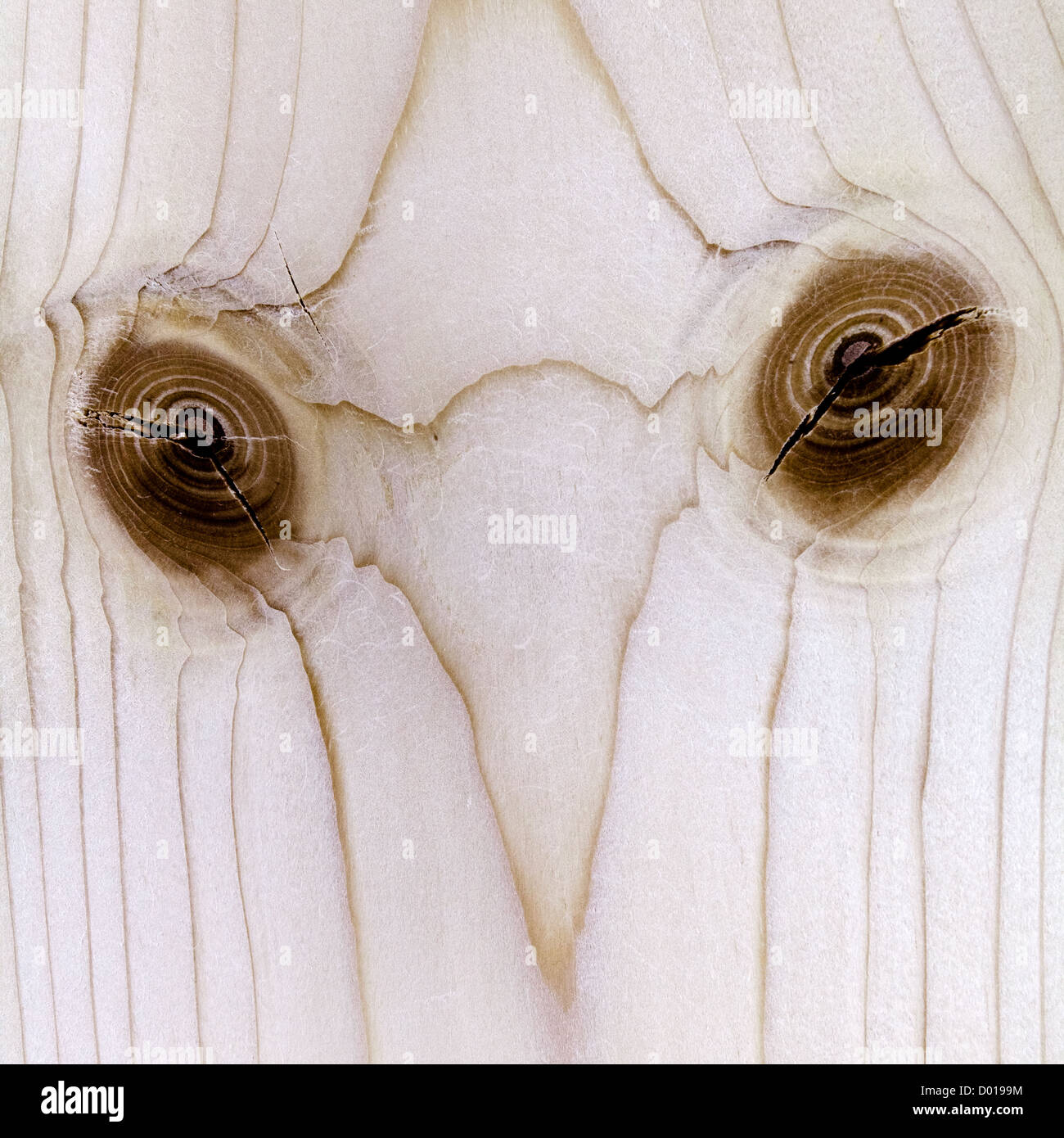 Emoticon with sad expression naturally growing from cut of wooden plank ...