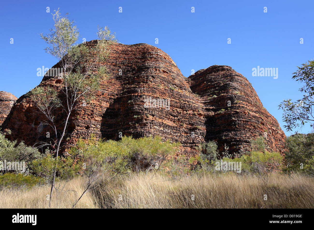 Sandstone and conglomerate rock formations known as the Bungle Bungles ...