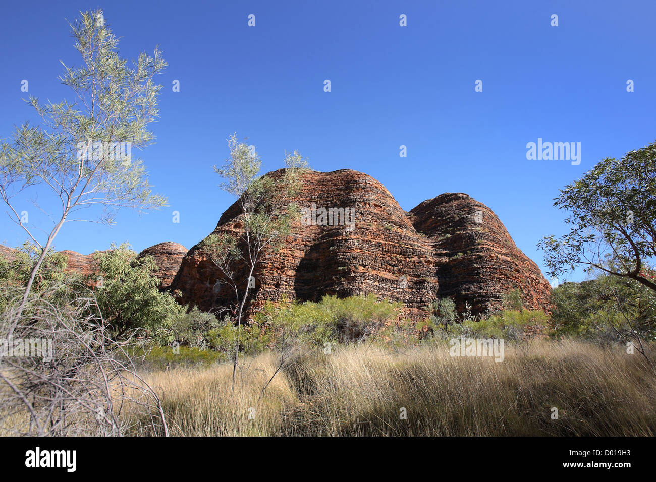 Sandstone and conglomerate rock formations known as the Bungle Bungles ...