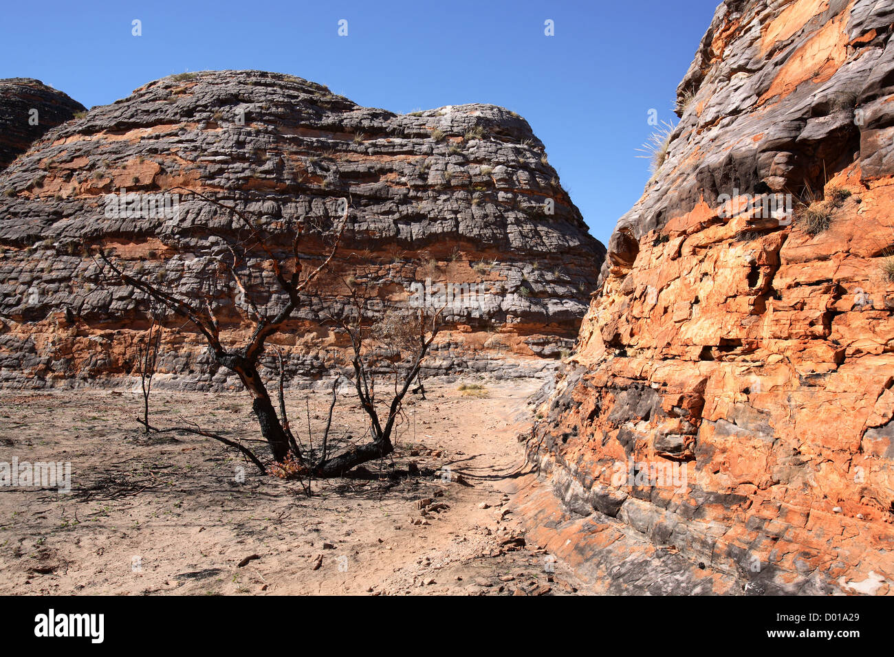 Sandstone and conglomerate rock formations known as the Bungle Bungles ...