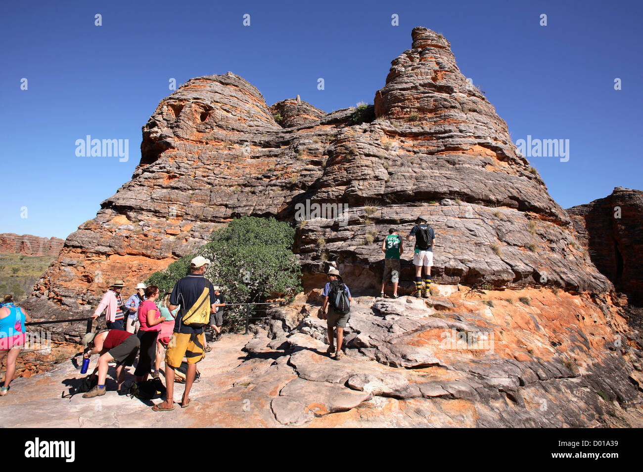 Sandstone and conglomerate rock formations known as the Bungle Bungles ...