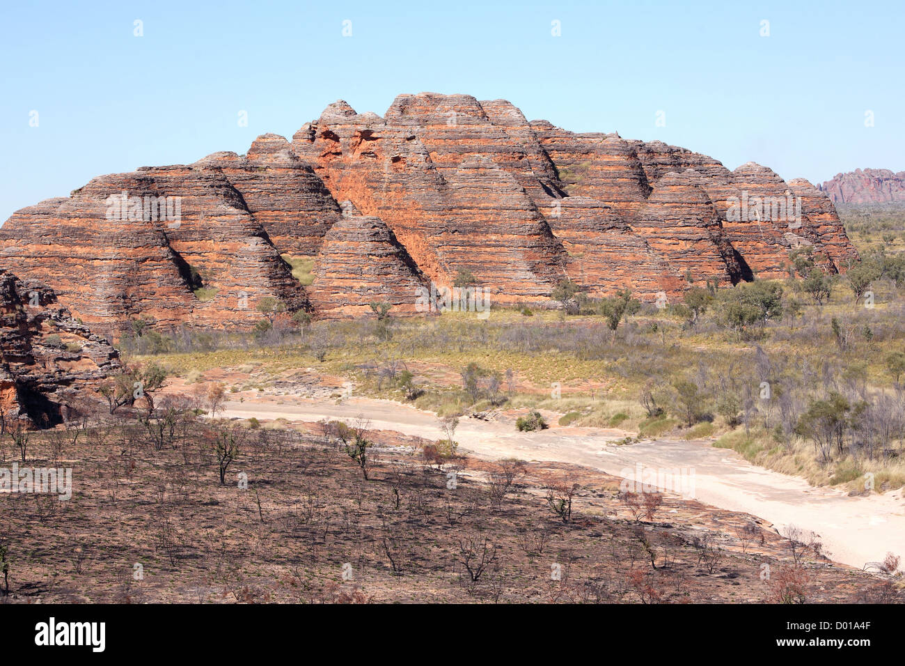 Sandstone and conglomerate rock formations known as the Bungle Bungles ...