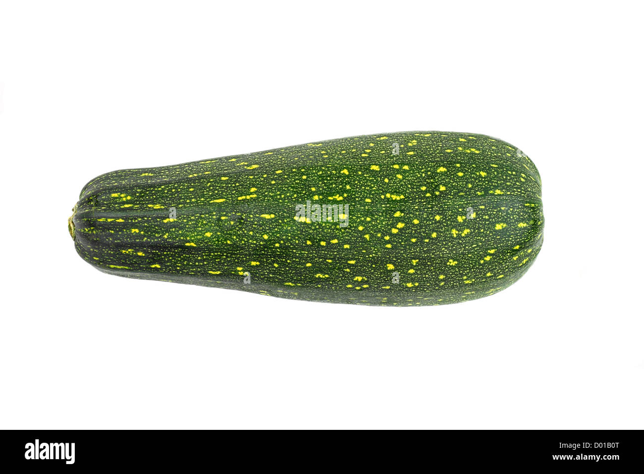 Green squash isolated on white Stock Photo - Alamy