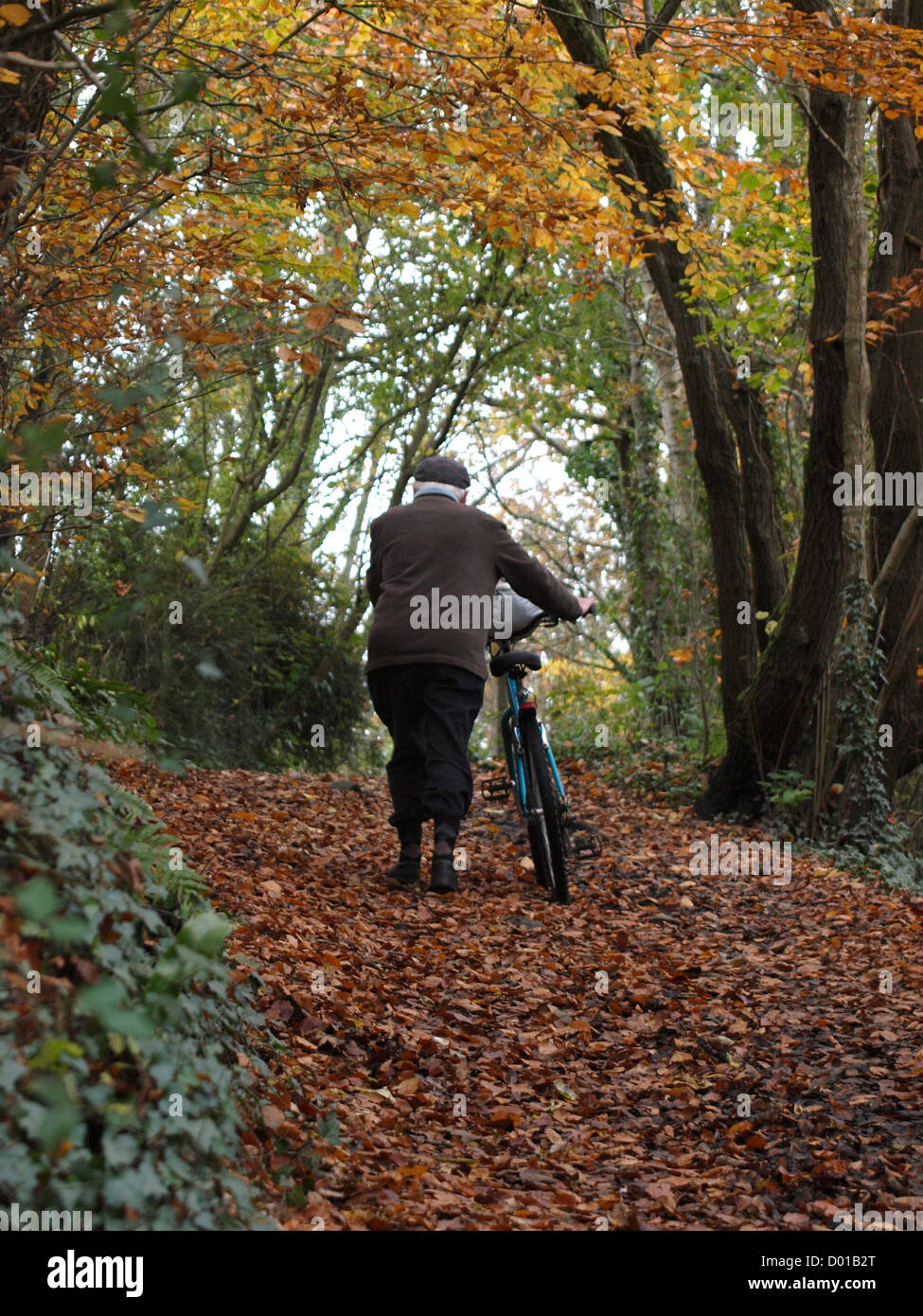 Man pushing old bicycle hi-res stock photography and images - Alamy