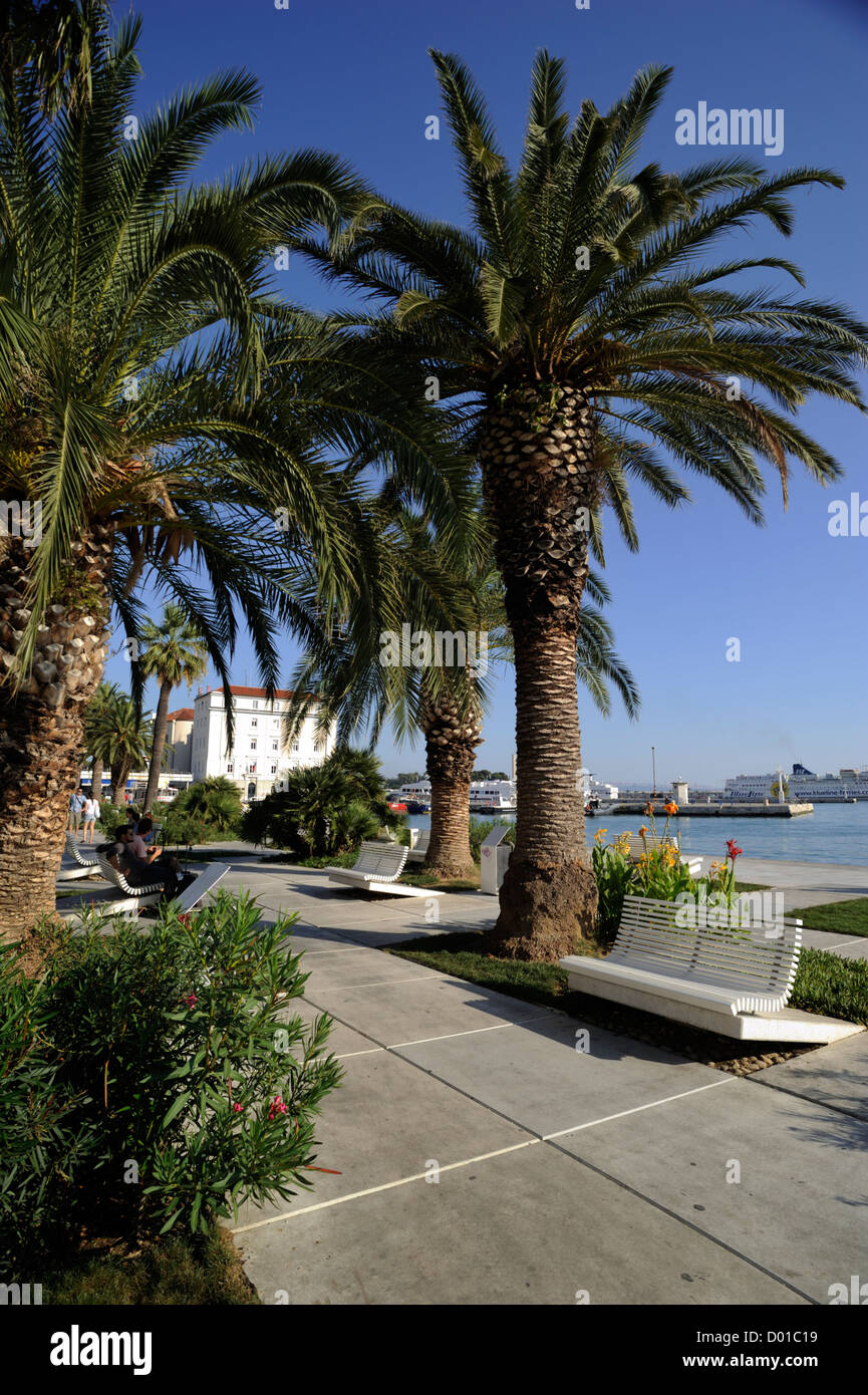 Split trees hi-res stock photography and images - Alamy