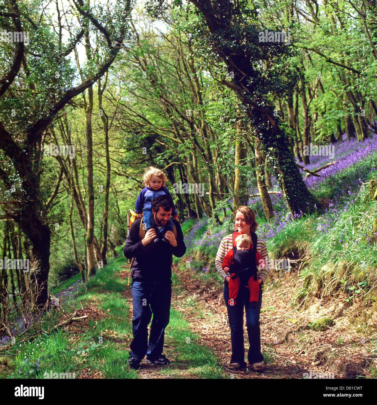 Family woodland walk spring flowers uk hi-res stock photography and ...