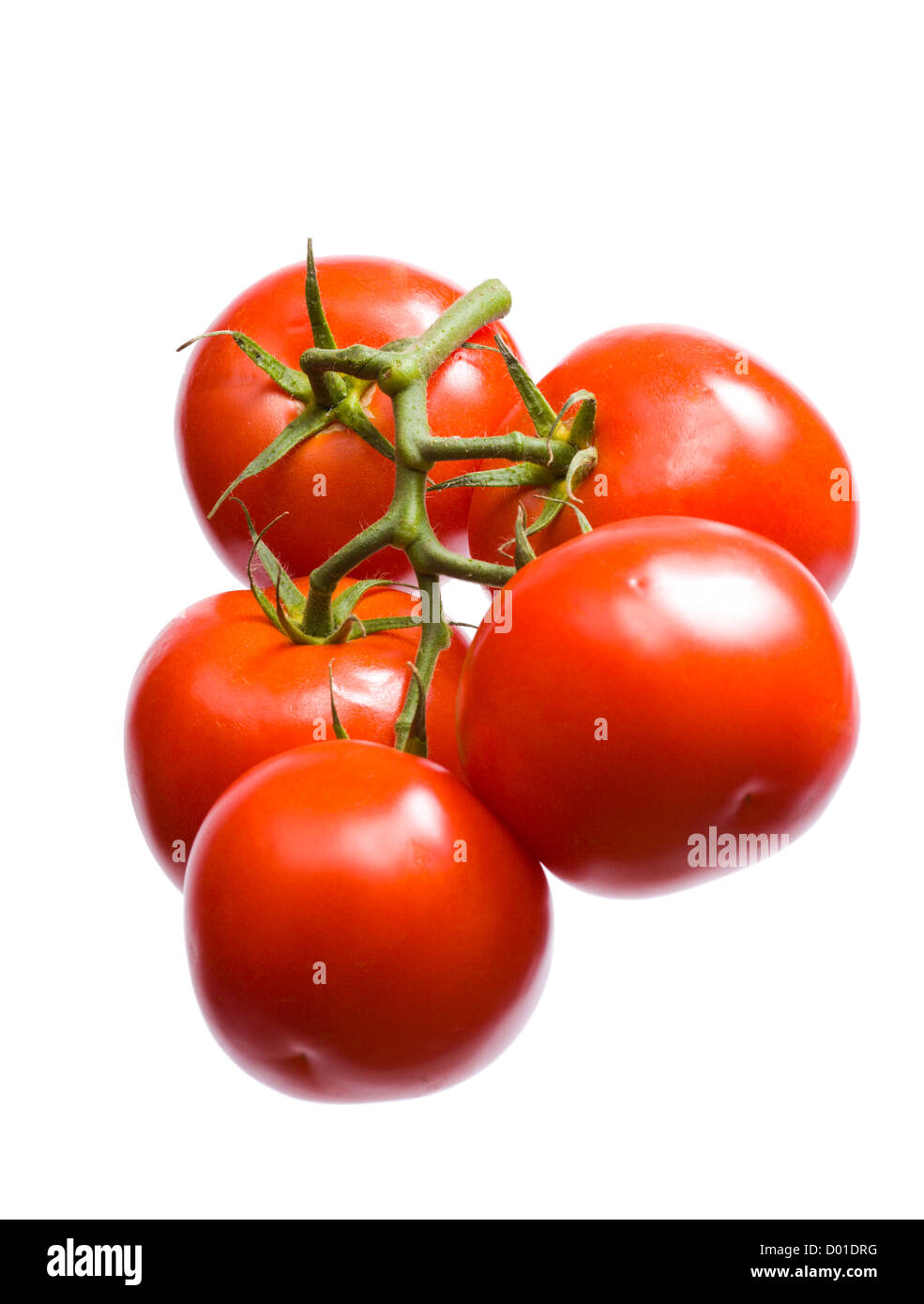 Bunch of five tasty tomatoes isolated on white Stock Photo - Alamy