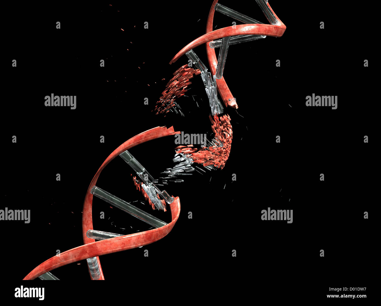 Microscopic structure of bone hi-res stock photography and images - Alamy