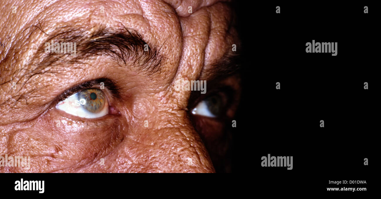 The Side View Inside Eye