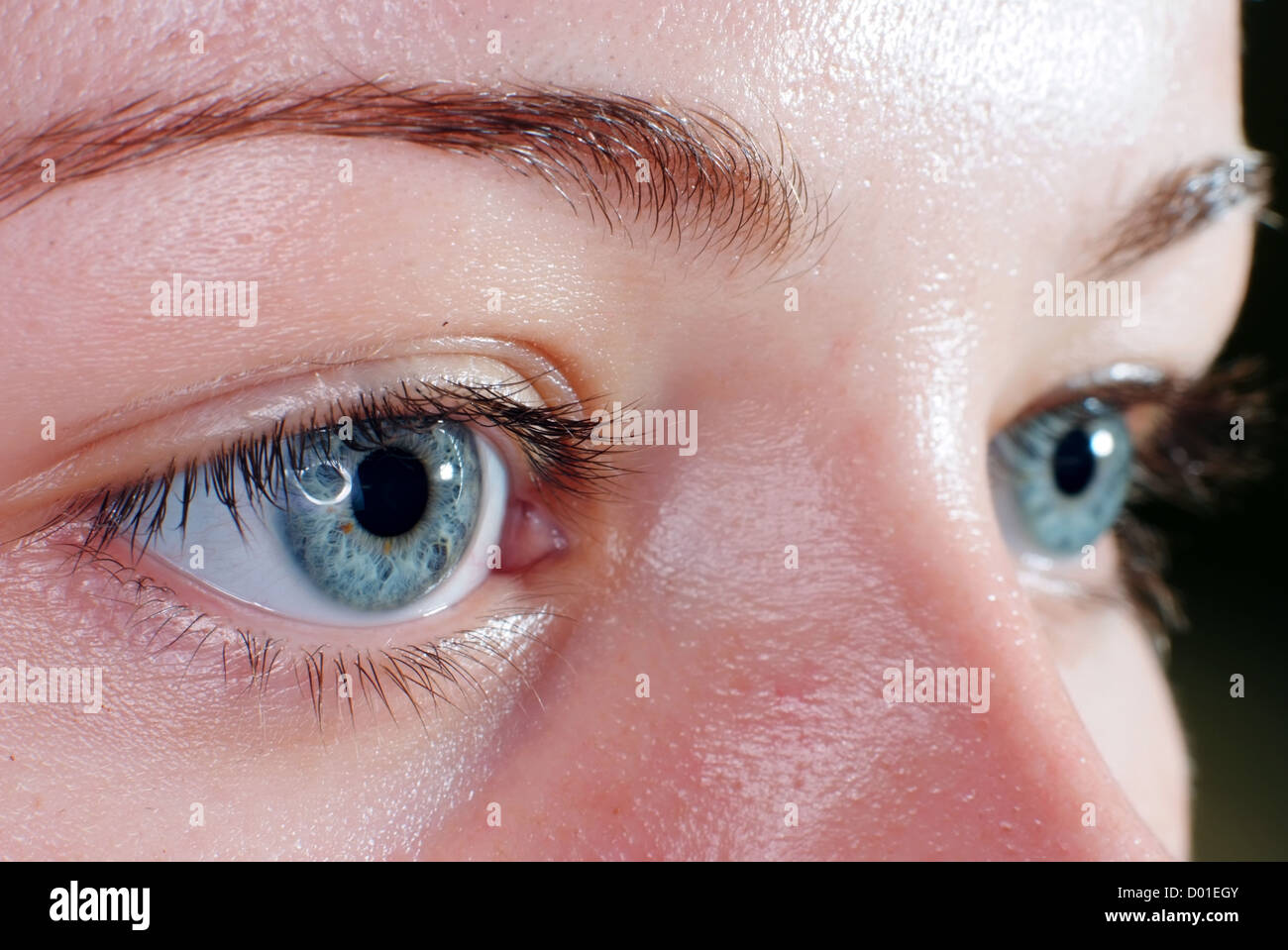 Blue eyes closeup Stock Photo - Alamy