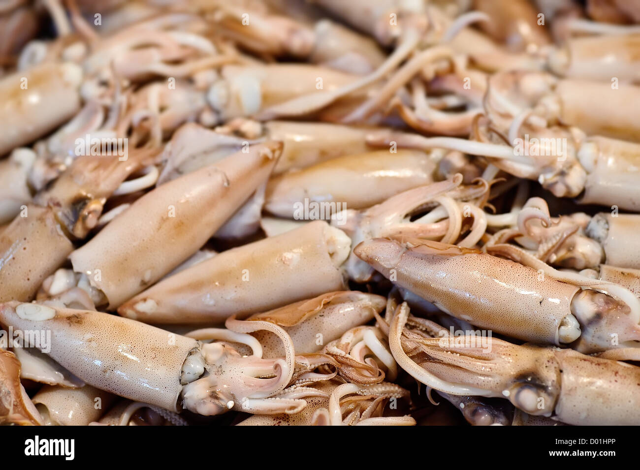 Squids, raw neritic squids fish on desk in marketplace Stock Photo - Alamy
