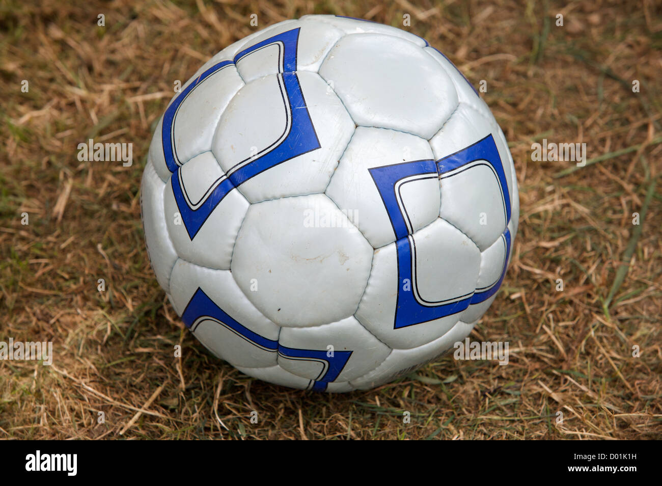 One silvered and blue soccer ball on the grass Stock Photo - Alamy