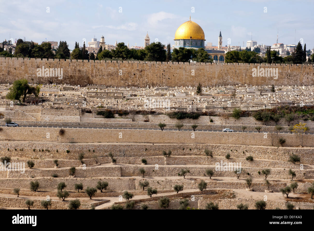 Palestine land of olives hi-res stock photography and images - Alamy