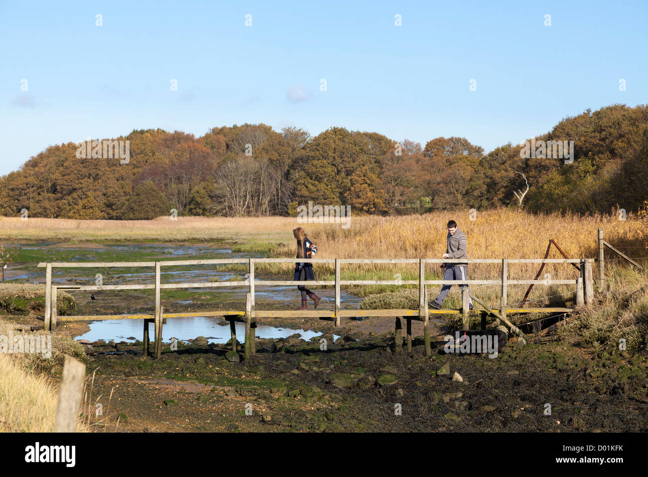 people crossing a rickety bridge across the salt marsh alongside the ...