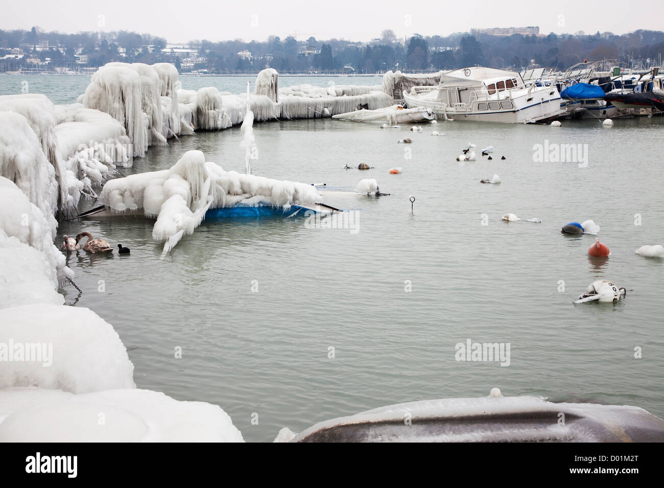 Frozen harbor hi-res stock photography and images - Alamy