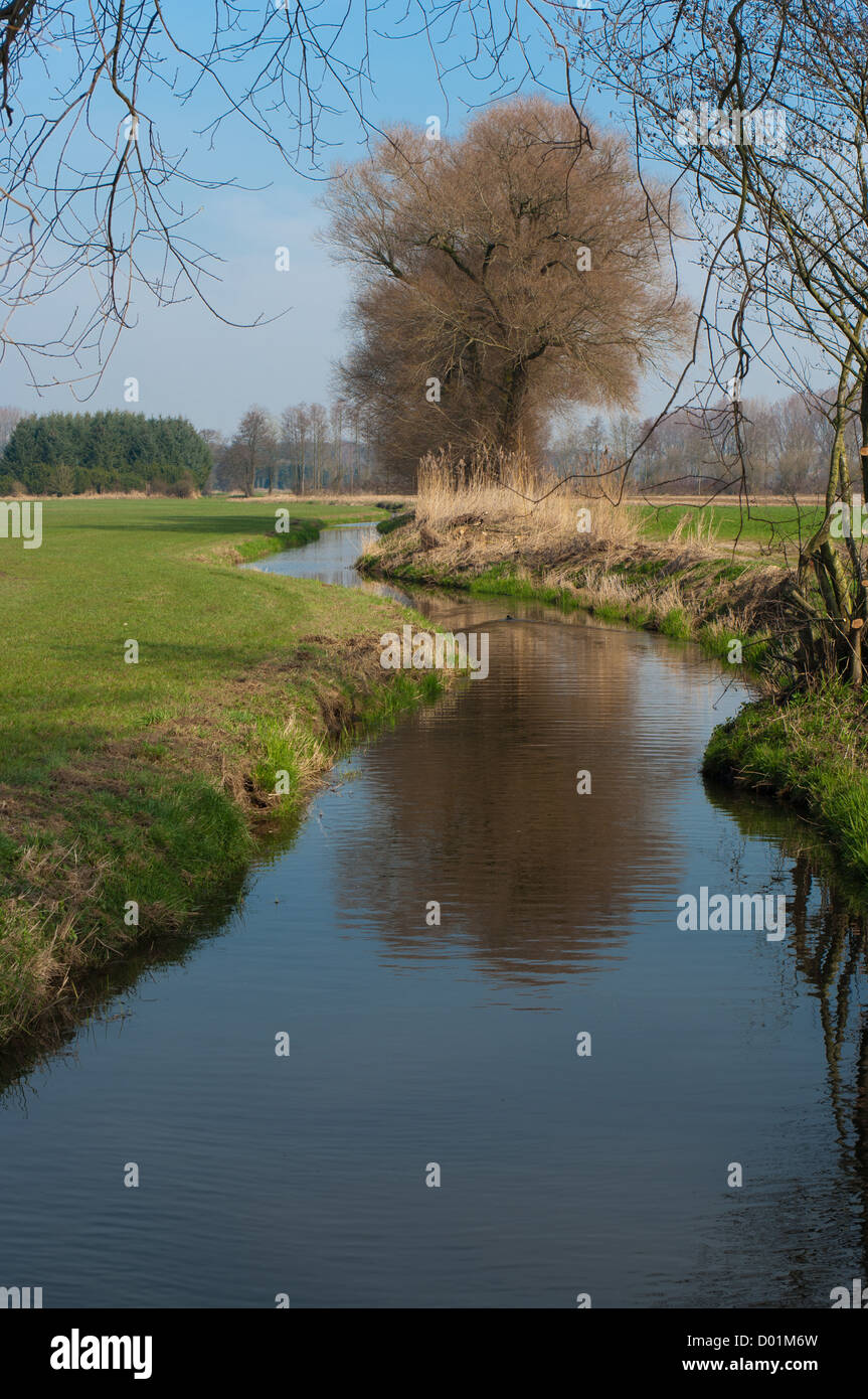 small brook flowing through an agricultural landscape Stock Photo - Alamy